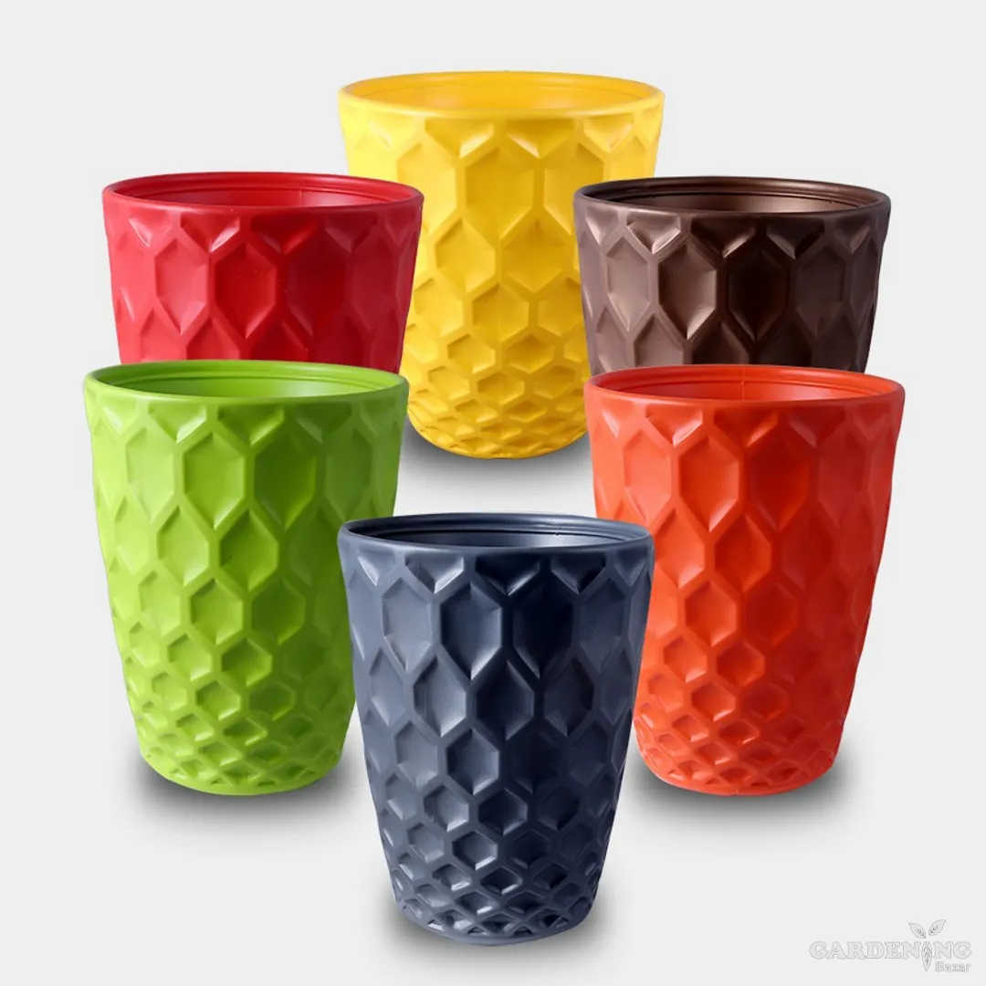 Online Shopping site for plants — Gardeningbazar